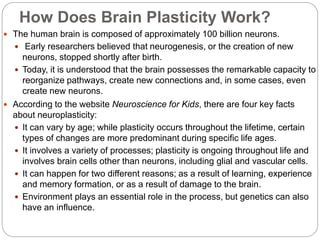 Brain plasticity | PPTX