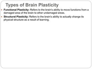 Brain plasticity | PPTX