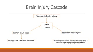 Brain plasticity after Traumatic brain Injury | PPTX