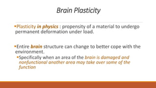 Brain plasticity after Traumatic brain Injury | PPTX