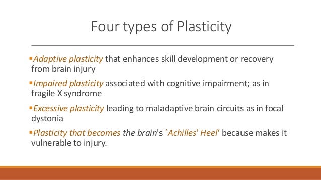 Brain plasticity after Traumatic brain Injury