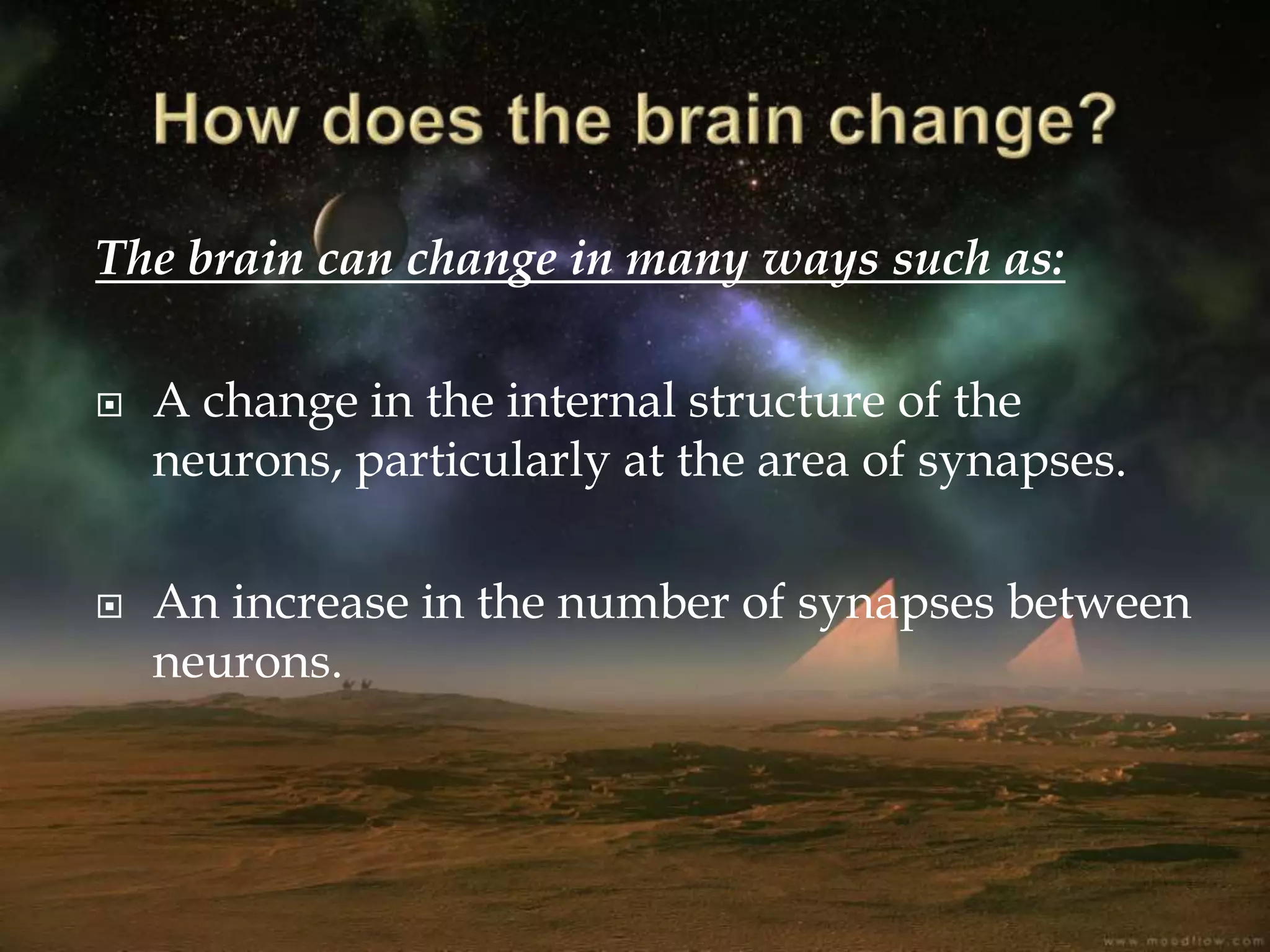 Brain plasticity | PPT