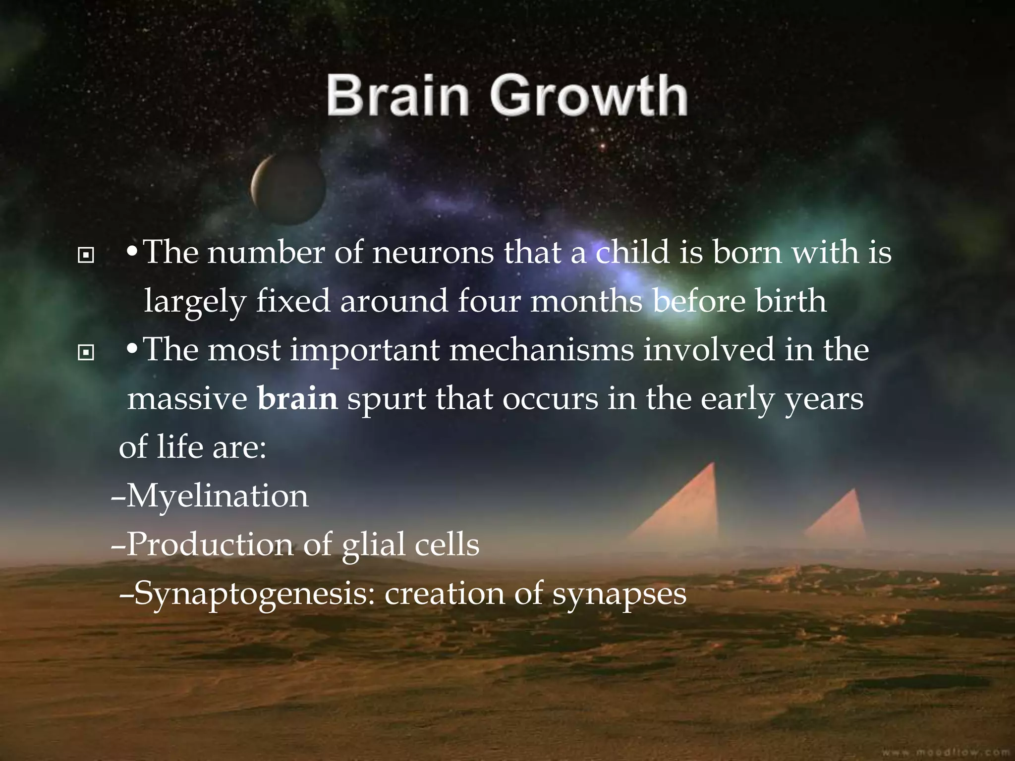 Brain plasticity | PPT
