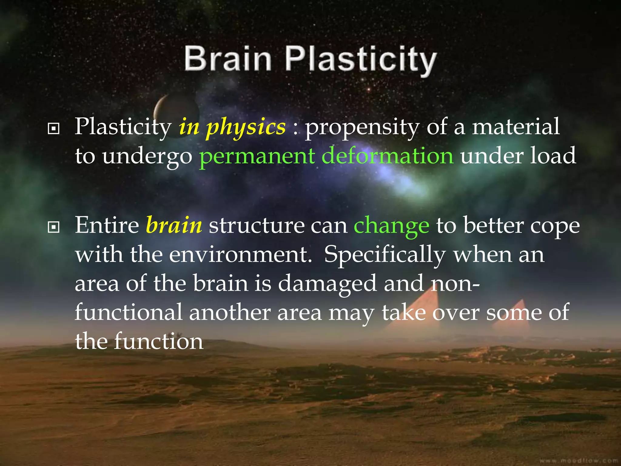 Brain plasticity | PPT