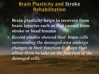 Brain plasticity FOR PEDIATRIC SURGERY | PPT