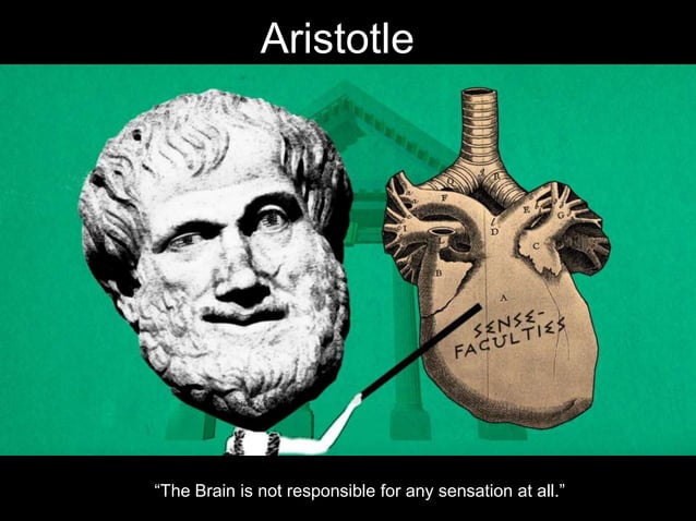 The Great Brain Debate | PPTX