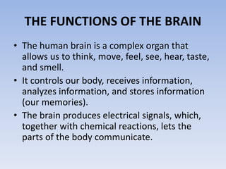 Brain powerpoint | PPT