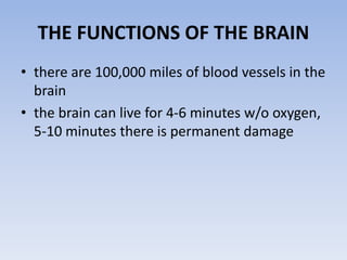 Brain powerpoint | PPT
