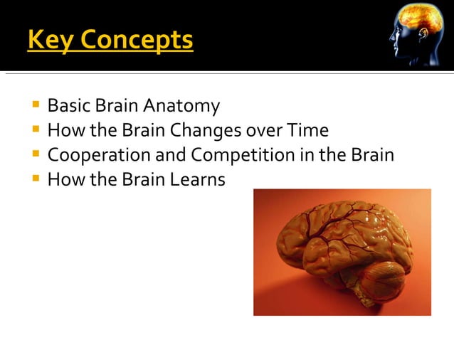 Brain Power Point Group 2 | PPT