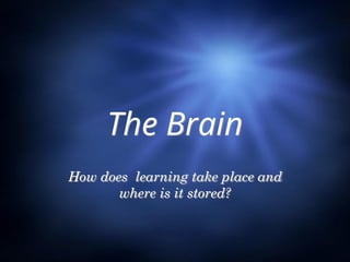 Brain Powerpoint Shortened science (2).ppt