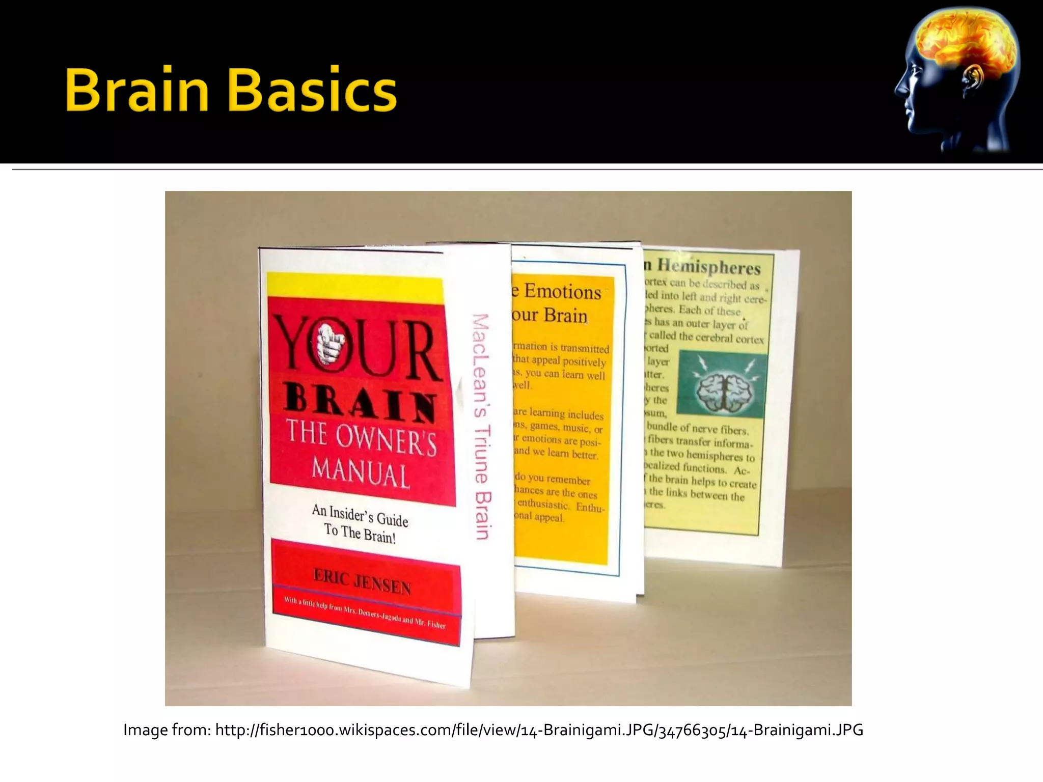 Brain Based Learning | PPT