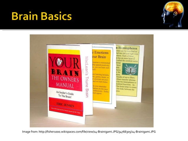 Brain Based Learning | PPT