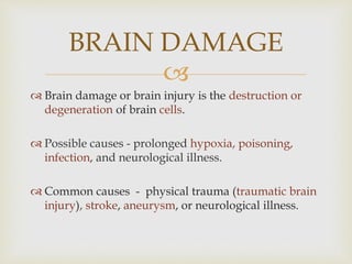 BRAIN DAMAGE | PPTX