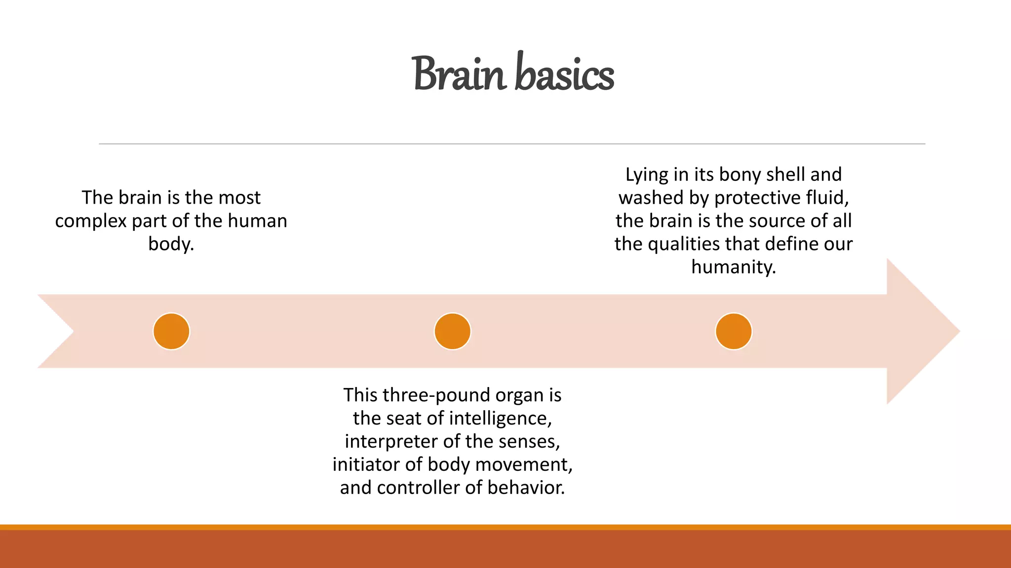 Brain ppt.pptx