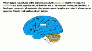 Brain ppt.pptx