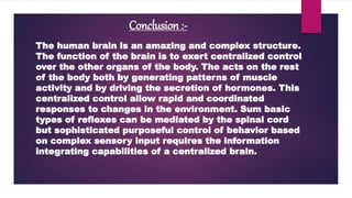 Human brain.. It's parts and function. | PPTX