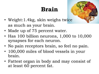 Brain ppts | PPTX