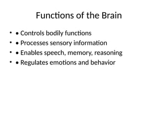 Brain_Presentation about the functions of the brain | PPTX