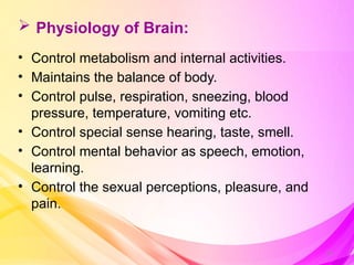 Brain presentation Anatomy and Physiology of brain neurons nerves parts ...