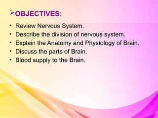 Brain presentation Anatomy and Physiology of brain neurons nerves parts ...