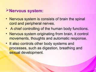 Brain presentation Anatomy and Physiology of brain neurons nerves parts ...