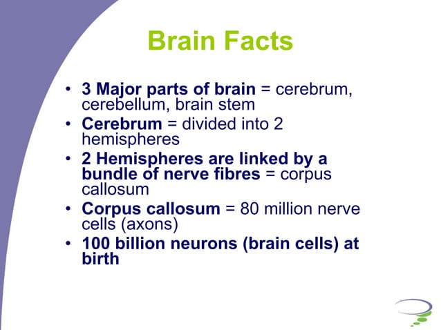 Brain Profile Ppt 01 10 | PPT