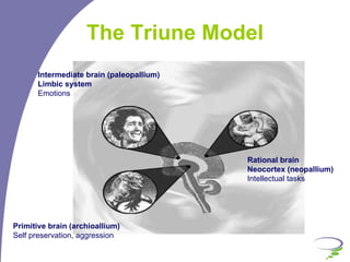 Brain Profile Ppt 01 10 | PPT
