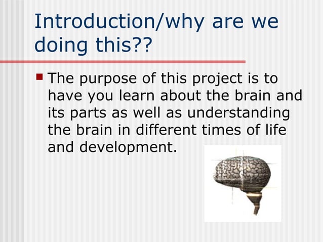 Parts of The Brain | PPT