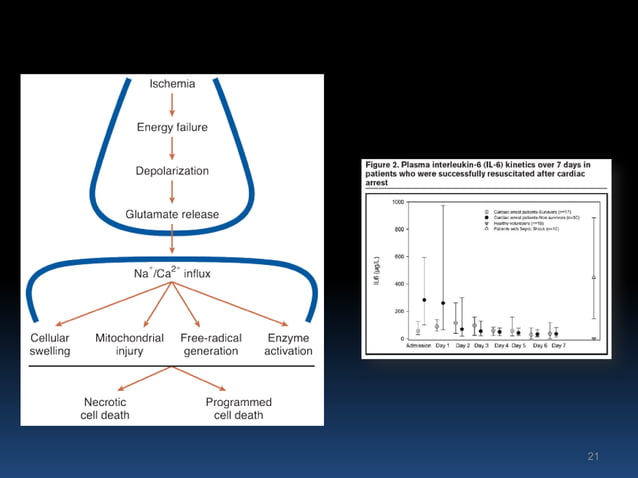 Brain Resuscitation | PDF | First Aid | Injuries