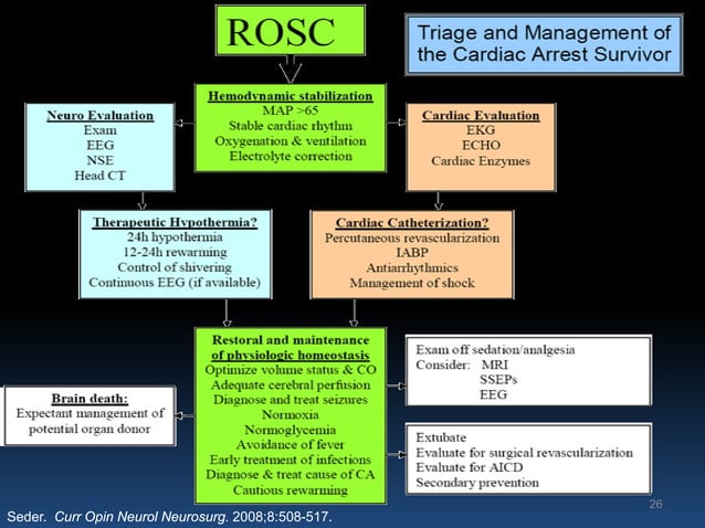 Brain Resuscitation | PDF | First Aid | Injuries