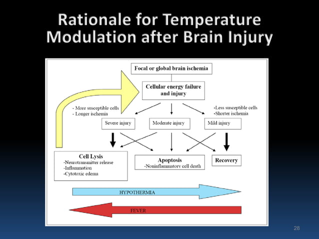 Brain Resuscitation | PDF | First Aid | Injuries