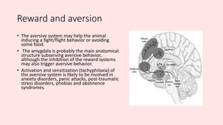 BRAIN REWARD AND AVERSION Sachin.pptx