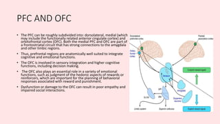 BRAIN REWARD AND AVERSION Sachin.pptx