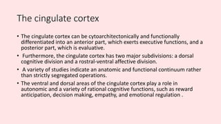 BRAIN REWARD AND AVERSION Sachin.pptx