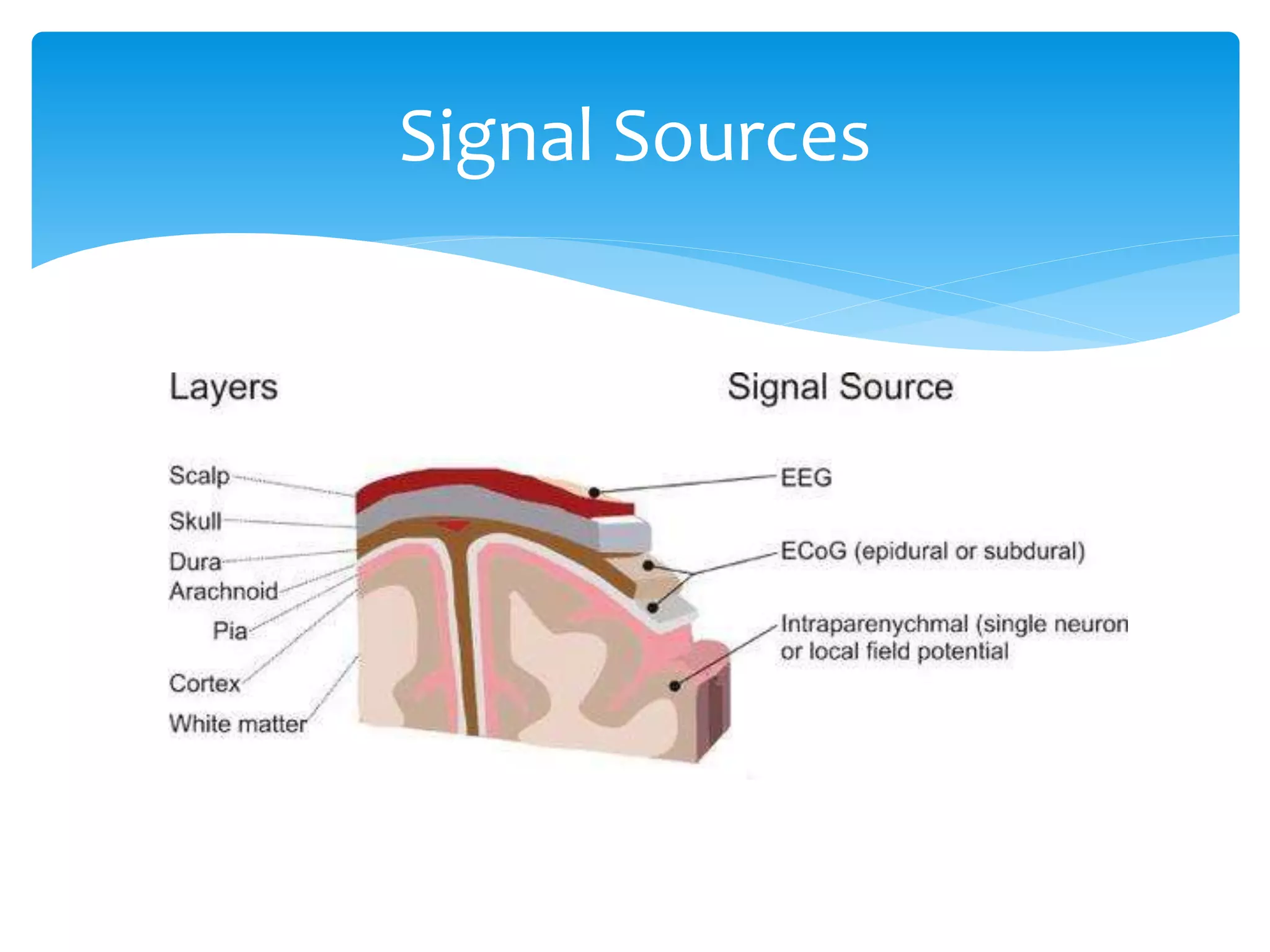 Brain Activity Sensors | PPT