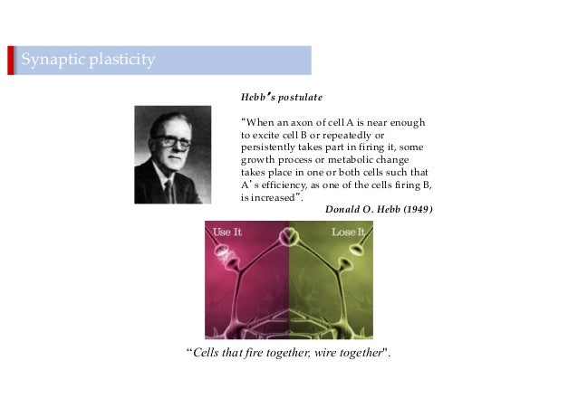 Brains@Bay Meetup: A Primer on Neuromodulatory Systems - Srikanth ...