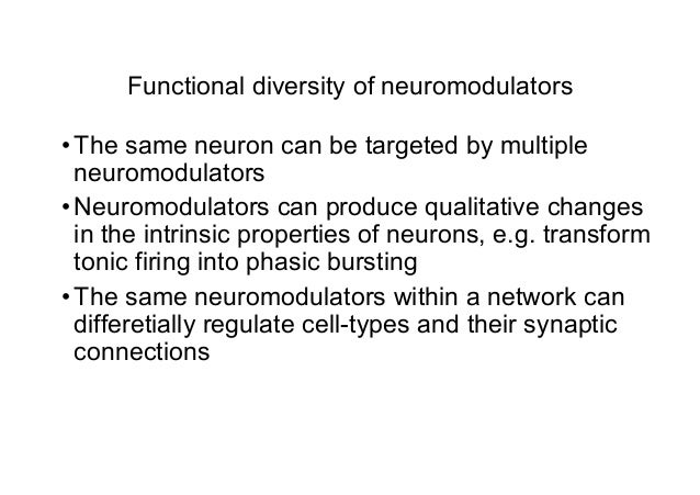 Brains@Bay Meetup: A Primer on Neuromodulatory Systems - Srikanth ...