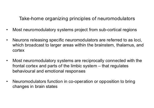 Brains@Bay Meetup: A Primer on Neuromodulatory Systems - Srikanth Ramaswamy | PDF
