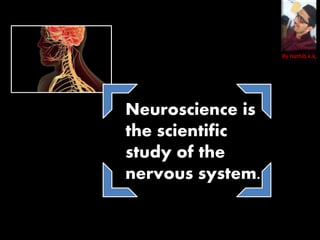 COGNITIVE NEUROSCIENCE : BRAIN SCAN to LESSON PLAN to | PPSX