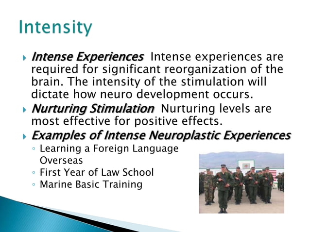 Brain Science Applying Neuroplasticity Principles To Higher Education