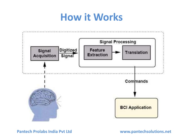 Brainsense -Brain computer Interface | PPT