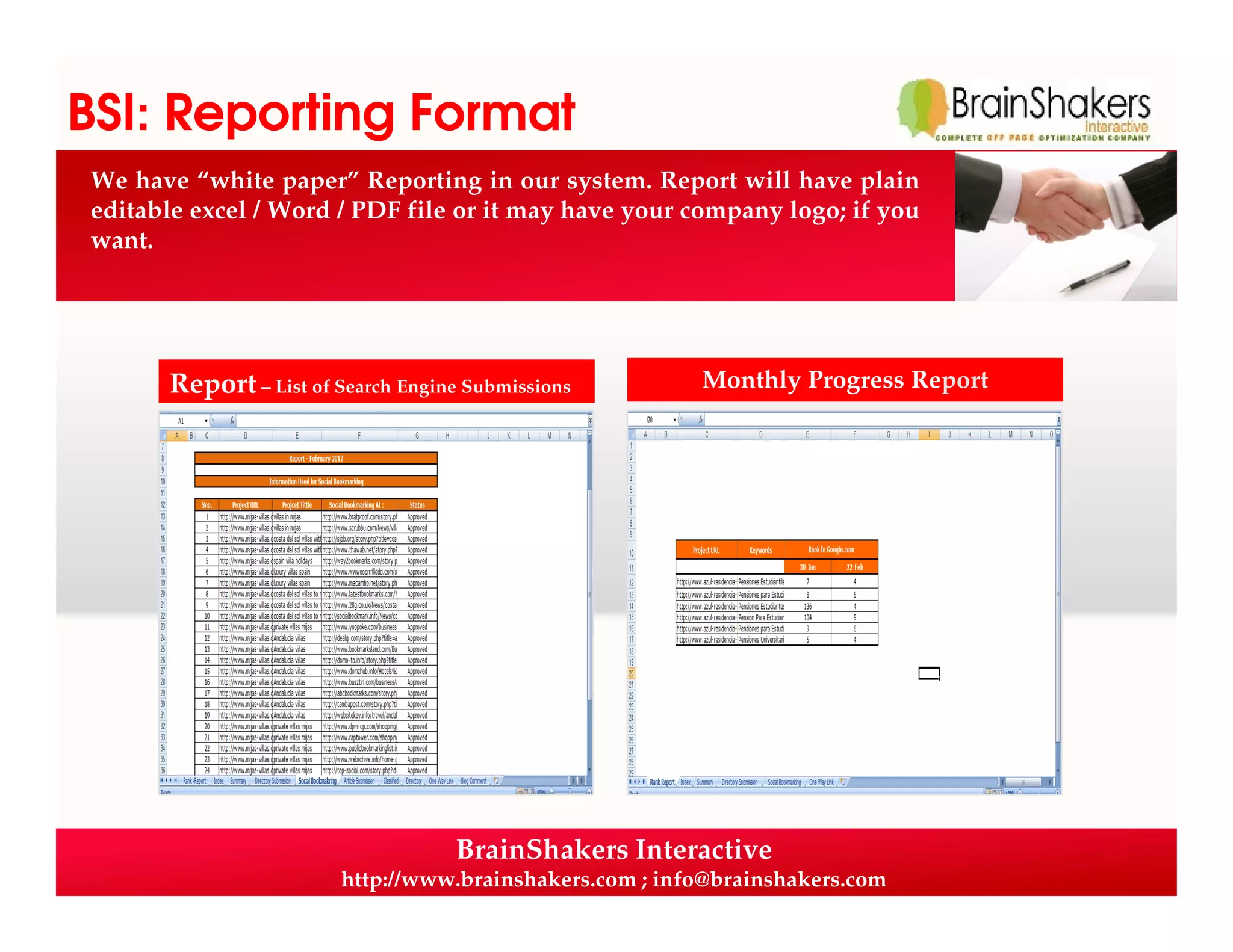 Brainshakers Interactive | PDF