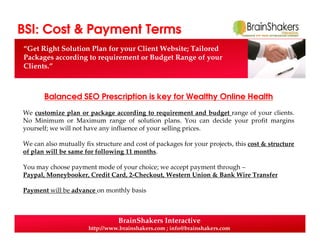 Brainshakers Interactive | PDF