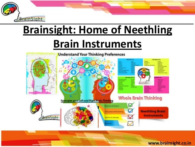 Brainsight Neethling Brain Instruments