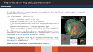 Brain simulation | PDF