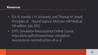 Brain simulation | PDF