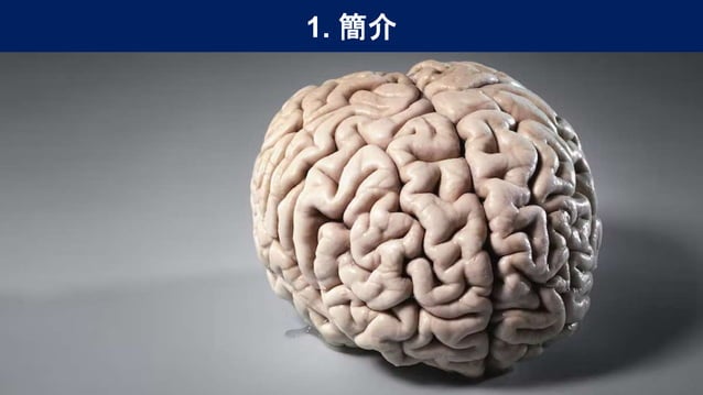 Brain Size Series 02 - Why are people's brains different sizes？.pptx