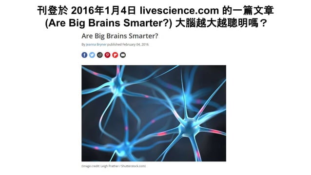 Brain Size Series 02 - Why are people's brains different sizes？.pptx