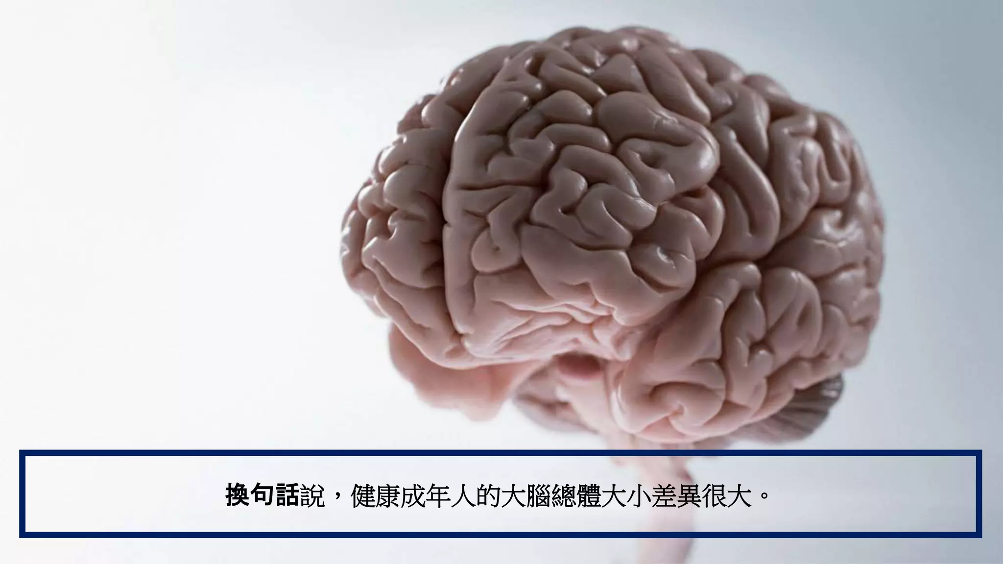 Brain Size Series 05 - Does Brain Size Matter？.pptx