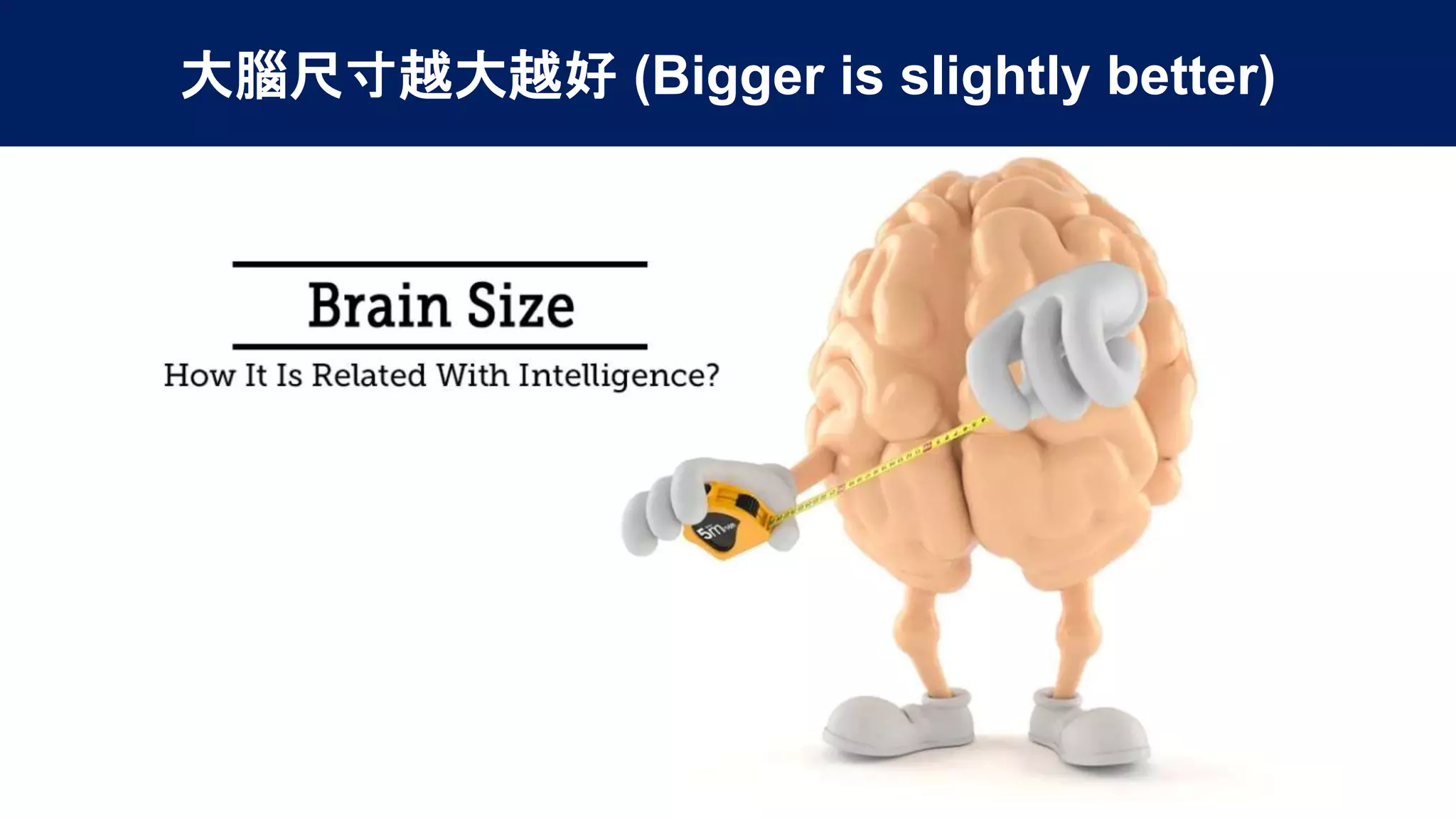 Brain Size Series 05 - Does Brain Size Matter？.pptx